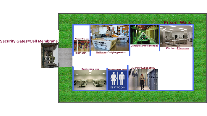 Security Gates=Cell Membrane by Carissa Gratzol on Prezi