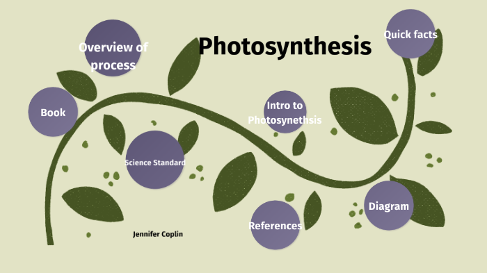 Photosynthesis by Jennifer Coplin on Prezi