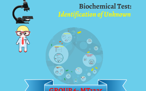 Biochemical Test: Identification of by Brian Joseph Santos on Prezi