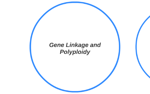Gene Linkage and Polyploidy by Rebecca Farwell on Prezi