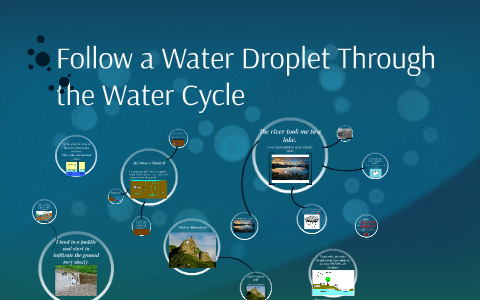 Follow a Water Droplet Through the Water Cycle by Audrey Ammann on Prezi