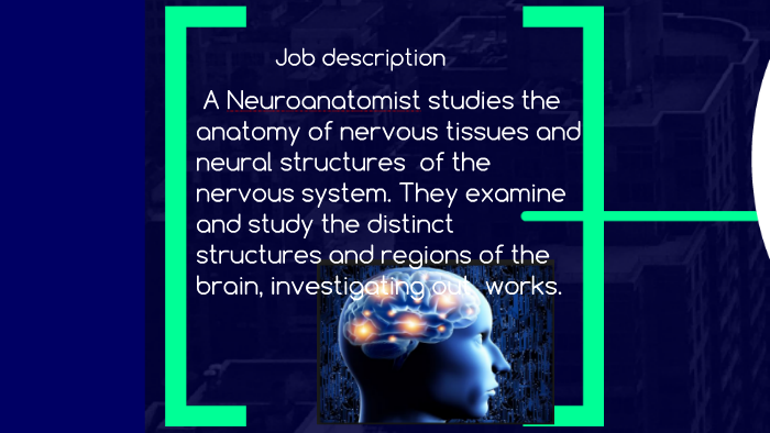 The Life of a Neuroanatomist by Jianna Josephs on Prezi