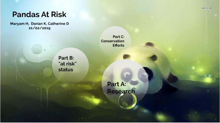Pandas at risk by Maryam Hassaan on Prezi