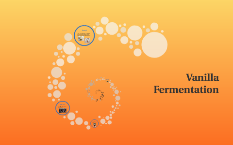 Vanilla Fermentation by Vanilla Project on Prezi