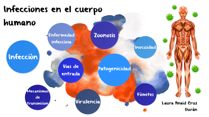 Infecciones en el cuerpo humano. by Anaid Cruz Duran on Prezi