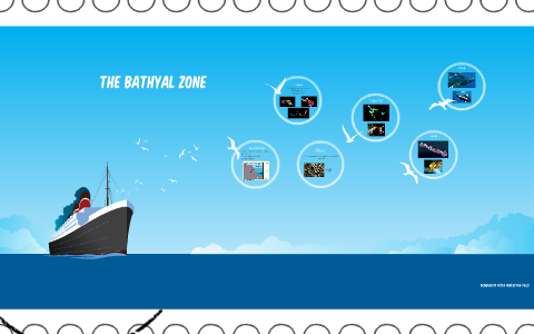 The Bathyal zone by Beth Haynes on Prezi
