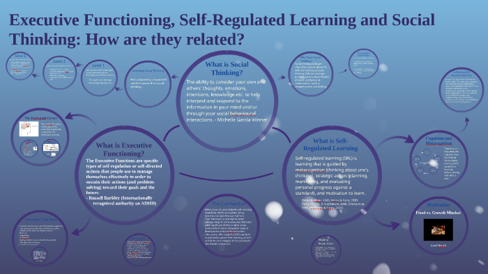 Executive Functioning and Self-Regulation: A Neurological Pe by ...