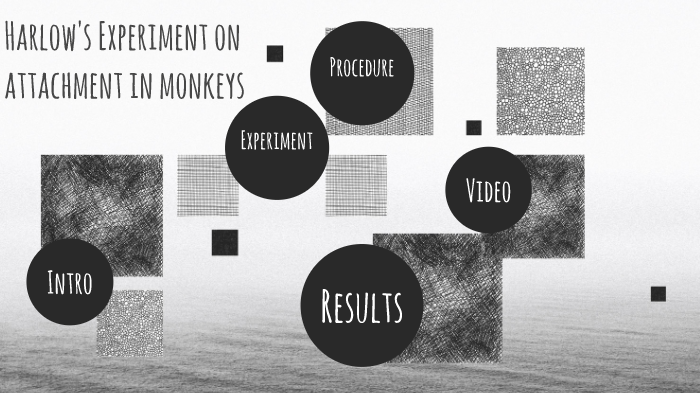 Harlow Experiment by Darcy Lauder on Prezi
