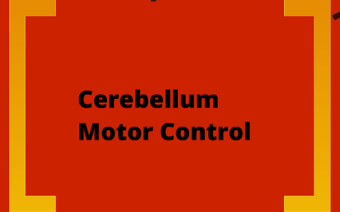 Cerebellum-Motor Control by JOSE ROMERO on Prezi