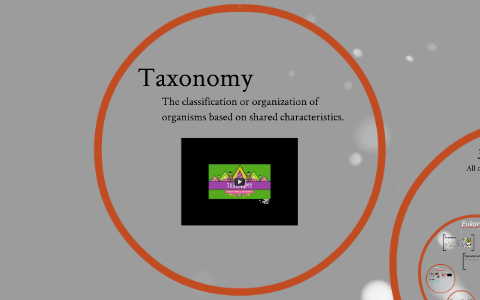 AISD 6th Grade Science: Taxonomy by Christopher Martell