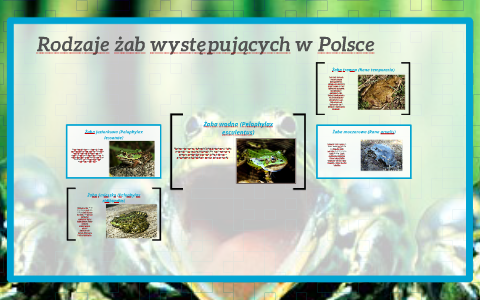 Rodzaje żab występujących w Polsce by Laura Mytlewska on Prezi