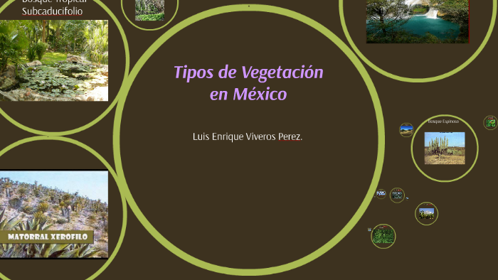 Tipos de Vegetación en México by Stephany Alvarez on Prezi