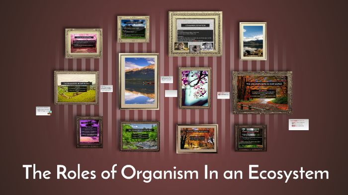 The Roles of Organism In an Ecosystem by daniela adesipo on Prezi