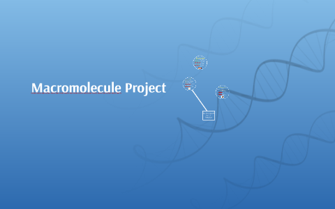 Macromolecule Project by sean mitchell on Prezi