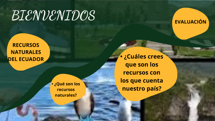 Recursos Naturales del Ecuador by Evelyn Tapuyo on Prezi