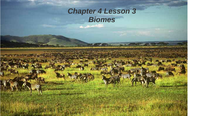Chapter 4 Lesson 3 by Kerry DeWeese on Prezi