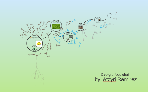 Georgia food chain. by Violet Stormbreaker on Prezi