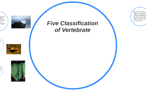 Five Classification of Vertebrate by Lisa Manross