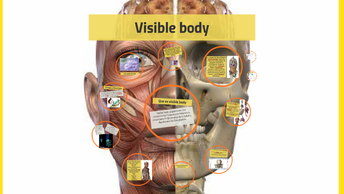Visible body by alejandro viadas on Prezi
