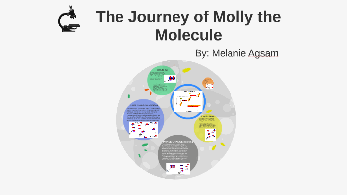 The Journey of Molly the Molecule by Mel Ags on Prezi