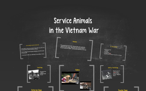 Service Animals in the Vietnam War by Sandy Scarpa