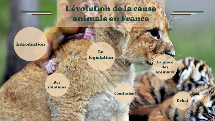EMC cause animale by Candice Robert on Prezi