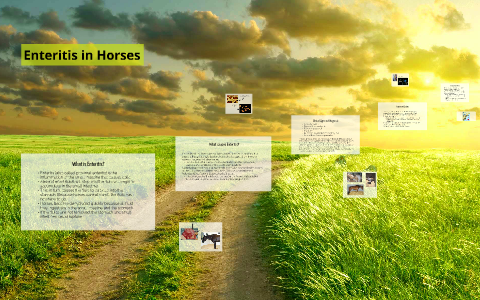 Enteritis in Horses by Andrea Victor on Prezi