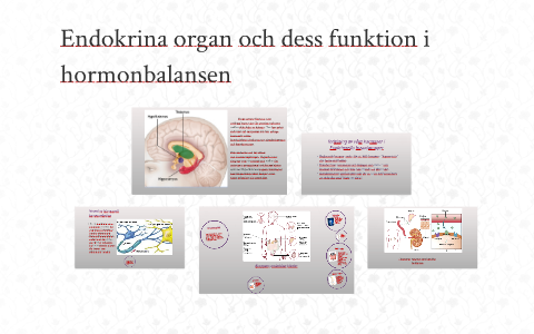 Endokrina organ och dess funktion i hormonbalansen by Louise Åström on ...