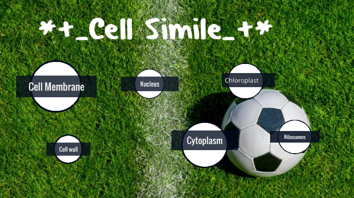 Cell Simile by Kaisa Mina on Prezi