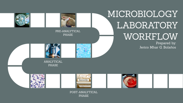 MICROBIOLOGY LABORATORY WORKFLOW by Jerico Mhar Geronimo Bolaños on Prezi