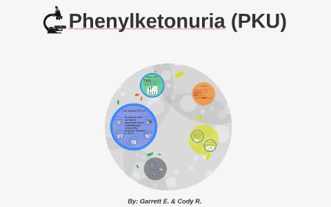 Phenylketonuria by Cody Ragsdale on Prezi