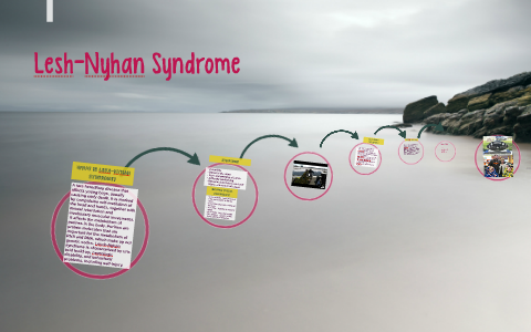 Lesh-Nyhan Syndrome by Tiffanee Clark