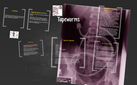 Six types of tapeworms are known to infect people. They are by on Prezi