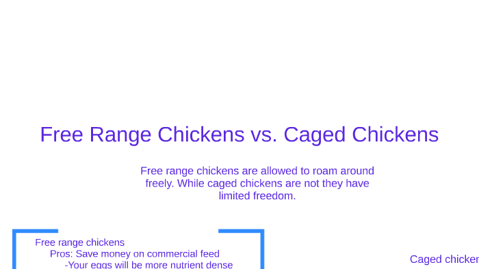 Free Range Chickens vs. Caged Chickens by Adam Gray on Prezi