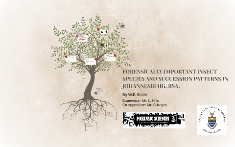 FORENSICALLY IMPORTANT INSECT SPECIES AND SUCCESSION PATTERN by Willem ...