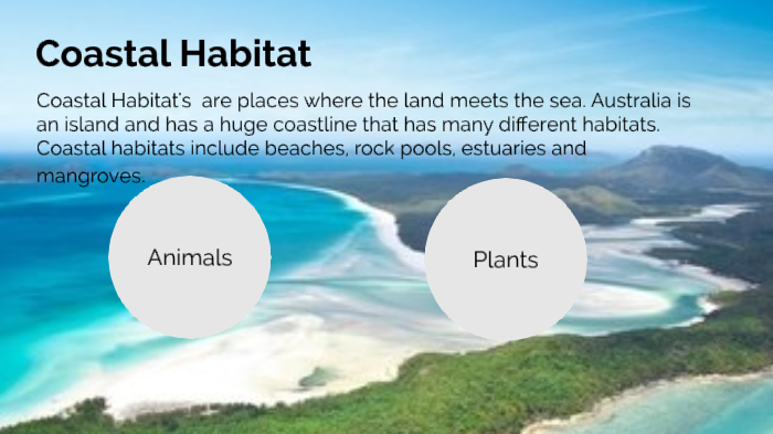 Coastal Habitat by RHYAN LABOUBE on Prezi