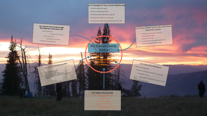 5 Categories That Describe My Current Family Status by Mario Giacobassi ...