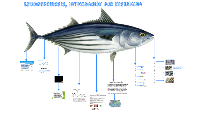 Escombroidosis, Intoxicación por Histamina by Angelo Michel Rabanal ...