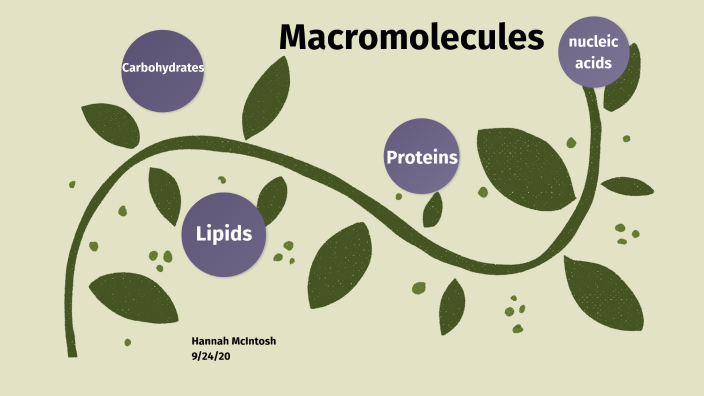 Ap Bio Macromolecule poster by Pawsitive on Prezi