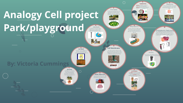 Analogy Cell project by Victoria Cummings on Prezi
