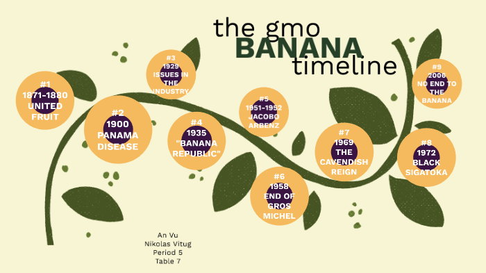 The GMO Banana Timeline by An Vu on Prezi