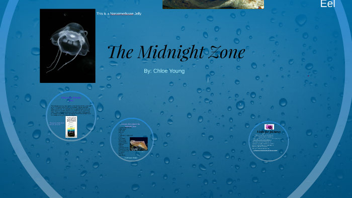 The Midnight Zone by Chloe Young on Prezi