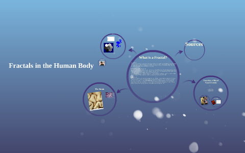 Fractals in the Human Body by Sydney Britt on Prezi