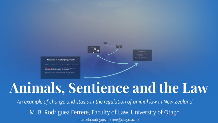 Animals, Sentience and the Law (with commentary) by Marcelo Rodriguez ...