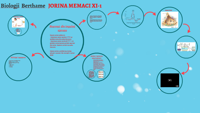 Neuronet dhe impulset njerzore by erald memaci on Prezi