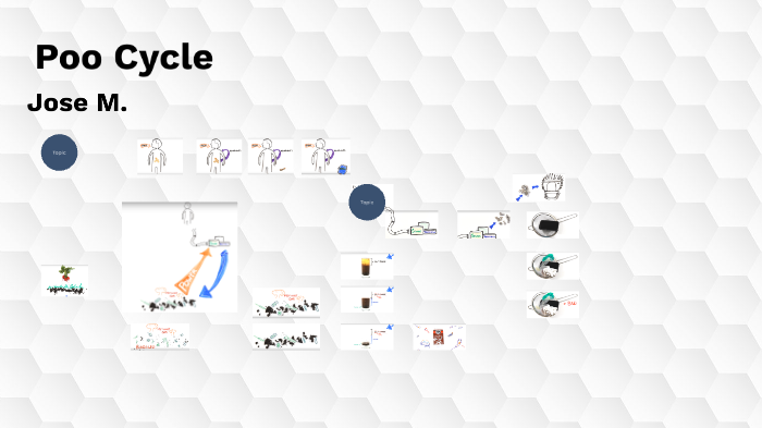 Poo Cycle by José Antonio Magos Martínez on Prezi