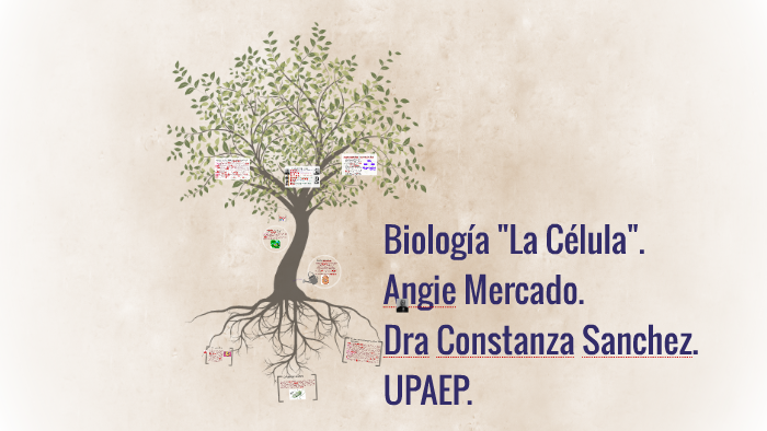 La Célula by angie mercado on Prezi