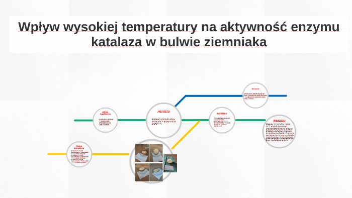 Wpływ wysokiej temperatury na aktywność enzymu katalaza w bu by Dagmara ...