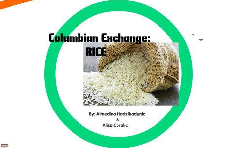 Columbian Exchange: RICE by almedina hadzikadunic on Prezi
