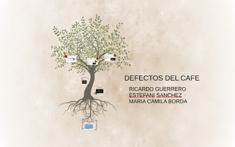DEFECTOS DEL CAFE by estefani sanchez on Prezi